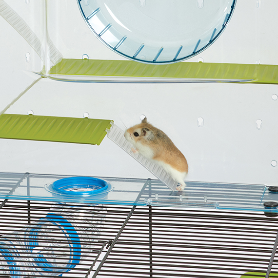 Critterville® Brisby Loft Hamster Home | MidWest Homes for Pets