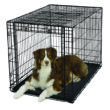 Shop All Dogs Products - MidWest Homes For Pets